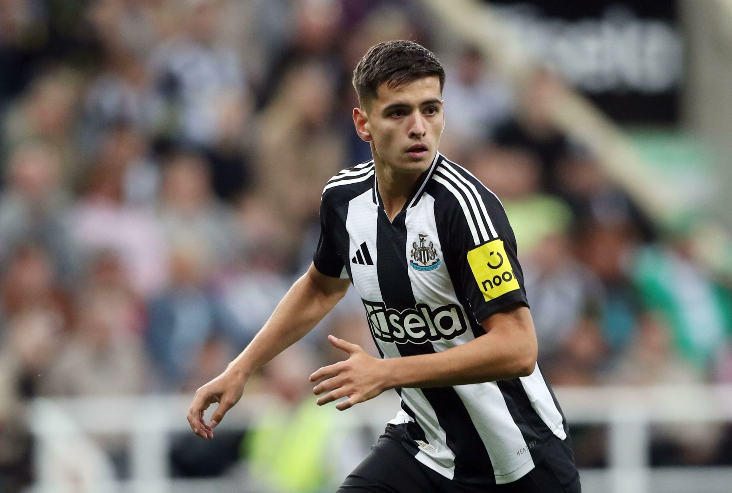 Is January the right time for a loan move for in-form Ben Parkinson ...